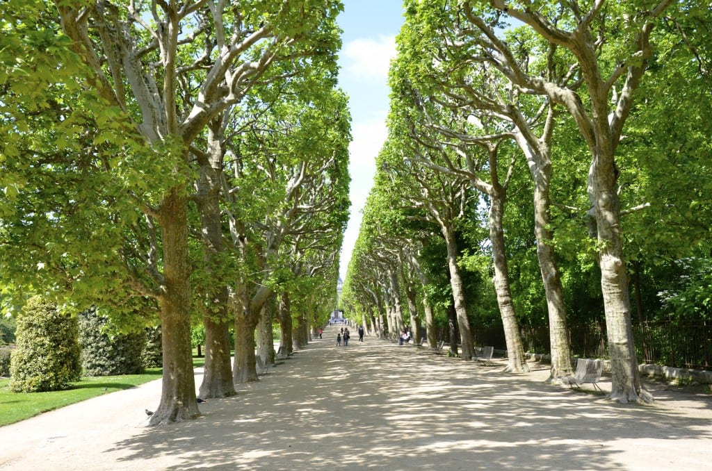 Five New Discoveries in Paris | DesignDestinations