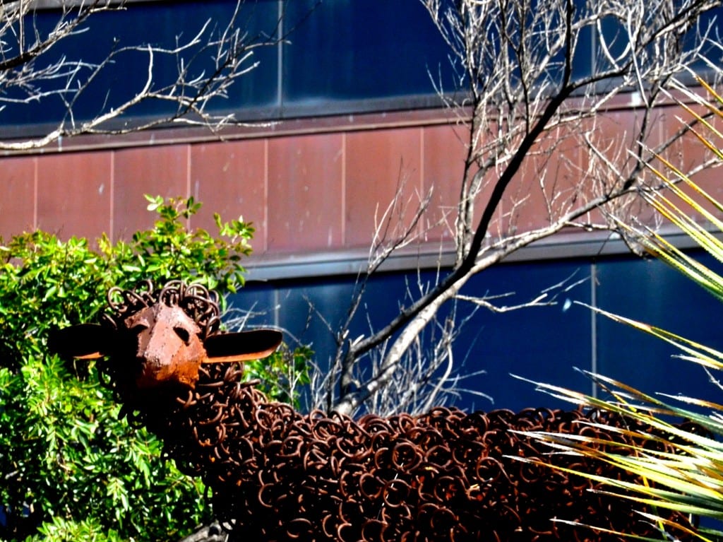 Austin: Creative to the Core | DesignDestinations